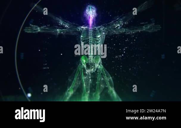 3D Futuristic Animation of Leonardo Da Vinci Vitruvian Man. Anatomy of ...