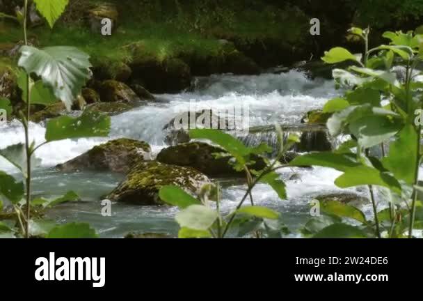 mountain river in the Norwegian fjords, flowing between rocks and ...