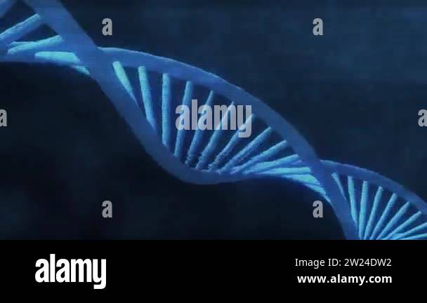 3D animation of abstract DNA on dark backdrop assemble. Conceptual design of genetic information ...
