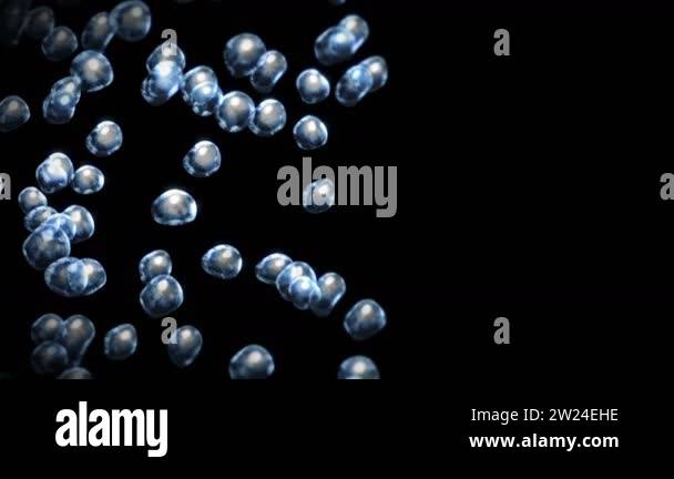 Flying many water drops on black background. Pure droplets. Transparent ...