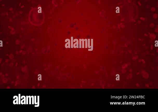 3D Red blood cells 4k Loop animation in an artery, flow inside body ...