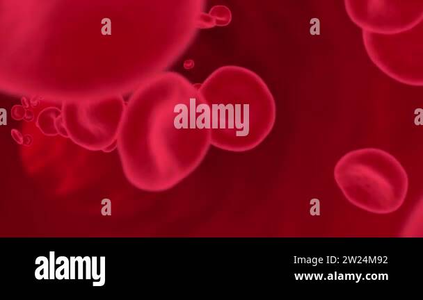 animation of red blood cells flowing through a red tunnel 4K 3D Alpha ...