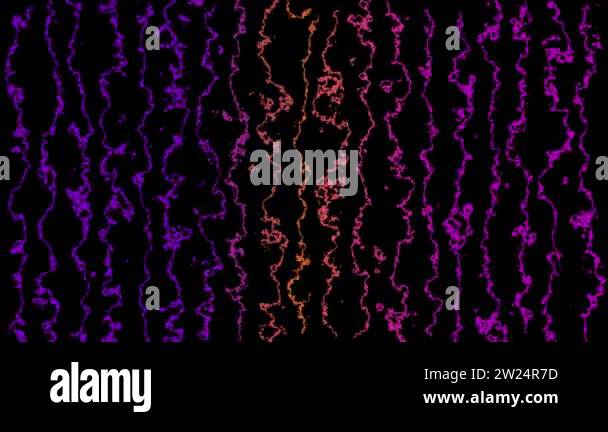 Abstract 4k animation with gradient vertical wavy lines on the black ...