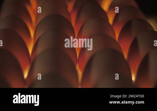 Egg Illuminated Warm Light from Below is Processed and Inspection ...