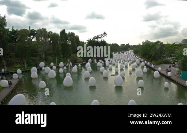 Digital ecosystem installation Stock Videos & Footage - HD and 4K Video ...