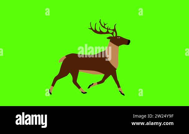 Cartoon Reindeer animation on Green screen Chroma key seamless loop ...