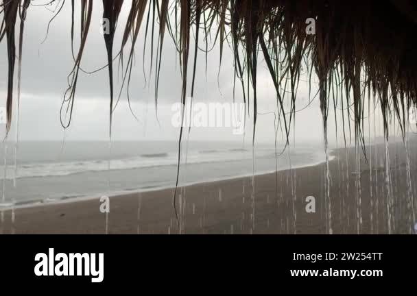 Water Drops Dripping From Thatched Roof On Ocean Beach. Straw Bungalow ...
