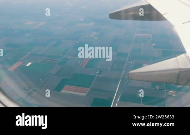 The plane flies over the beautiful fields of multicolored tulips in ...