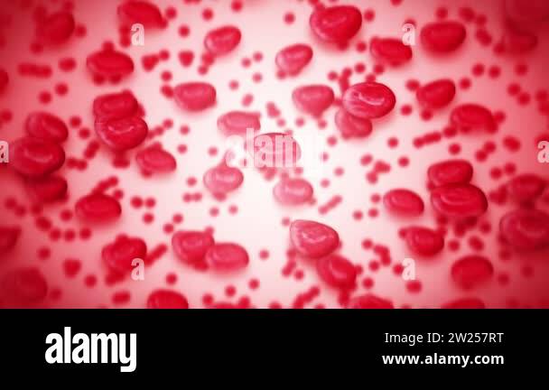 Red blood cells floating through blood and circulating in the vessels ...