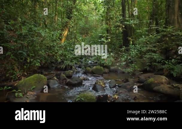 Saul Stock Videos & Footage - HD and 4K Video Clips - Alamy