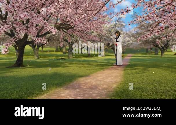 Japanese geisha girl in traditional kimono walking alone among blooming ...