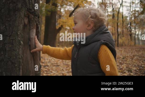 Family viewing trees Stock Videos & Footage - HD and 4K Video Clips - Alamy