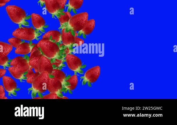 strawberries group fruits transition animation on blue screen chroma ...