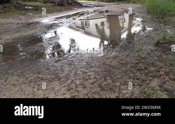 footage of walking into the pool of muddy puddle water Stock Video ...
