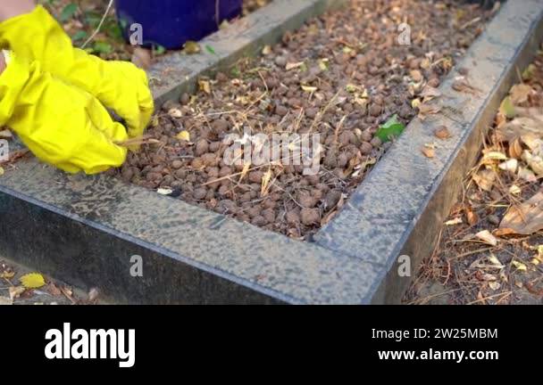 Cemetery garbage Stock Videos & Footage - HD and 4K Video Clips - Alamy