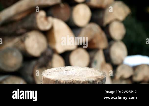 Sharp wood stick Stock Videos & Footage - HD and 4K Video Clips - Alamy