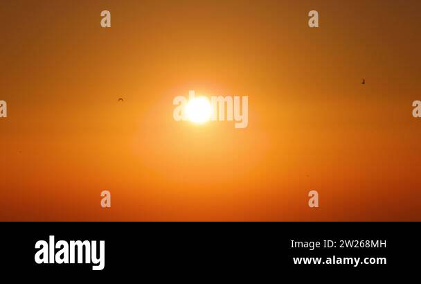 Sunrise sky and flying birds, 4K nature video. Rising sun and morning ...
