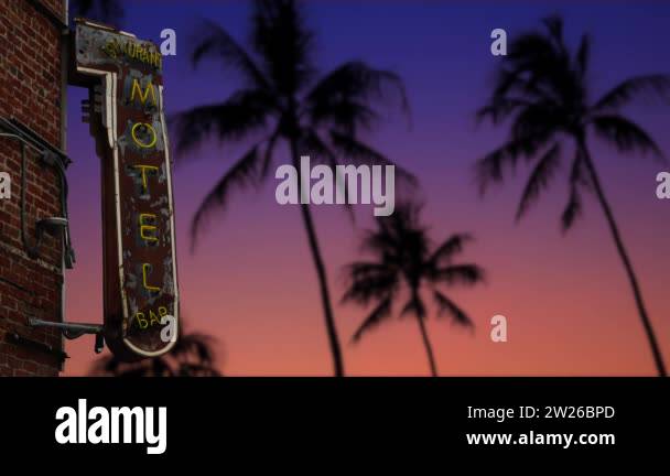 Motel palm tree Stock Videos & Footage - HD and 4K Video Clips - Alamy