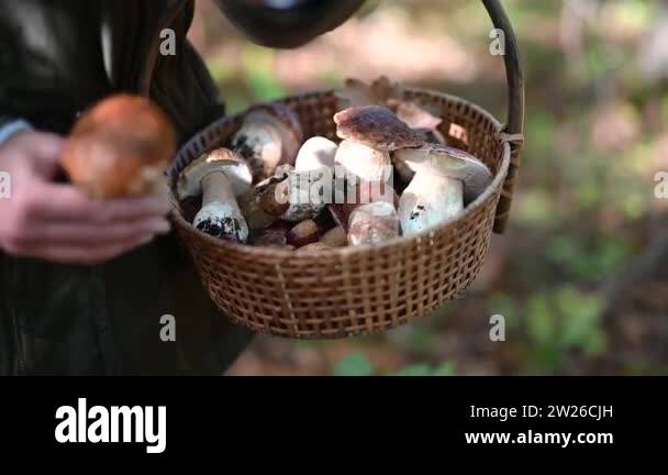 Delicious discovery Stock Videos & Footage - HD and 4K Video Clips - Alamy