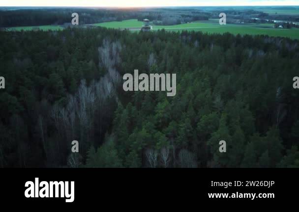 Sunrise Aerial View of Wooden Observation Tower in the Forest in ...