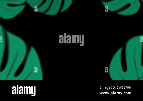 Green Tropical Hawaian Jungle Leaves Animation Intro Outro and ...
