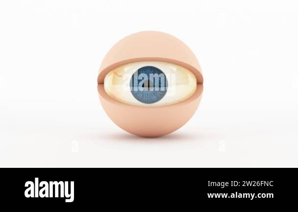 3D character eye - blinking. 3D animation of a cartoon eye blinking ...