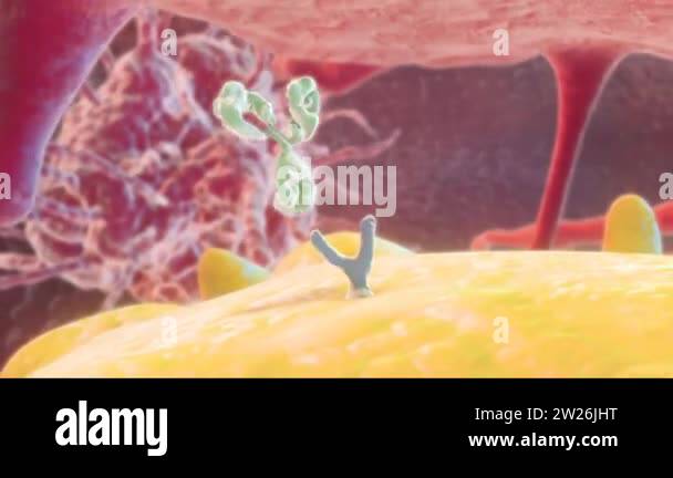 Plasma membrane structure Stock Videos & Footage - HD and 4K Video ...