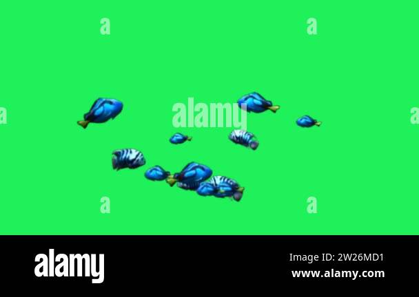 Blue green fish cartoon illustration Stock Videos & Footage - HD and 4K ...