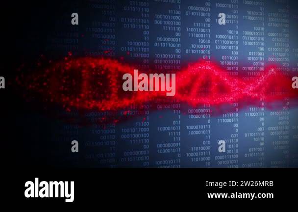 Molecule of DNA system with red blood. Blood floating through. Loop ...