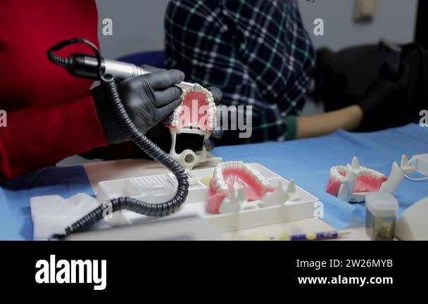 Two trainee dentists, wearing black gloves, hold mock-UPS of a mans jaw ...