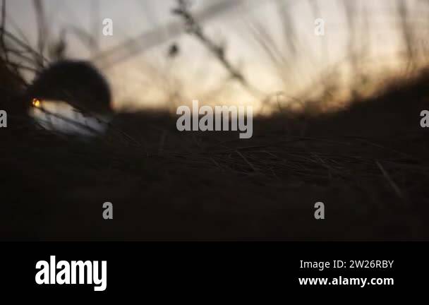 Travel fate Stock Videos & Footage - HD and 4K Video Clips - Alamy