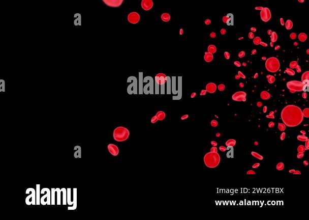 4K 3D red blood cells floating inside a human body Motion graphic 4K 3D ...