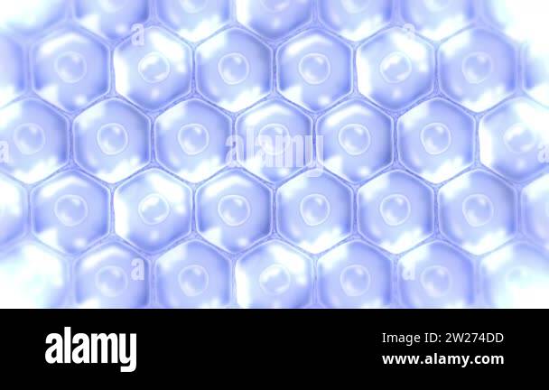 Human skin cells. Each cell with membrane. Cellular therapy. Disease ...