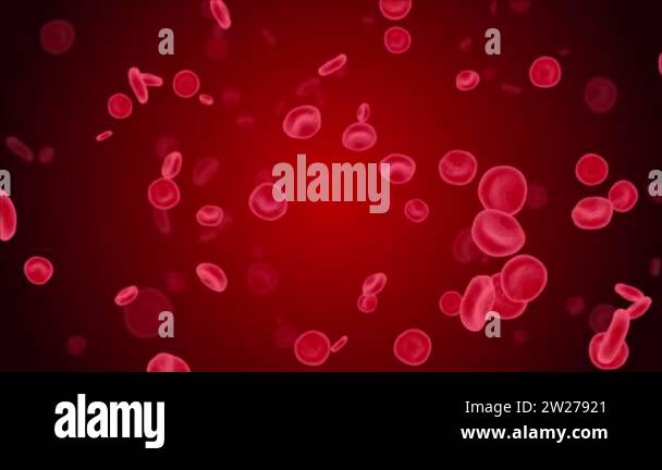 Red blood cell flowing in vein or artery 4K 3D Alpha Channel loop ...