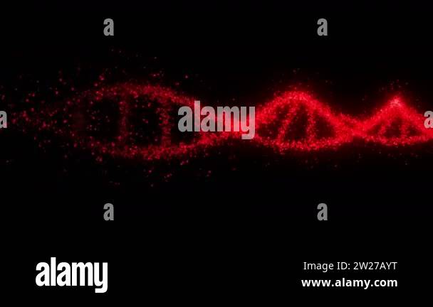 Molecule of DNA system with red blood. Blood floating through. Loop ...