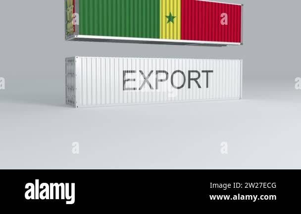 Senegal container with the flag falls on top of a container labeled ...