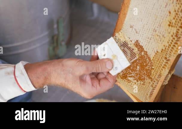 Scraper for the honeycomb. Work with a comb to print out a honeycomb ...