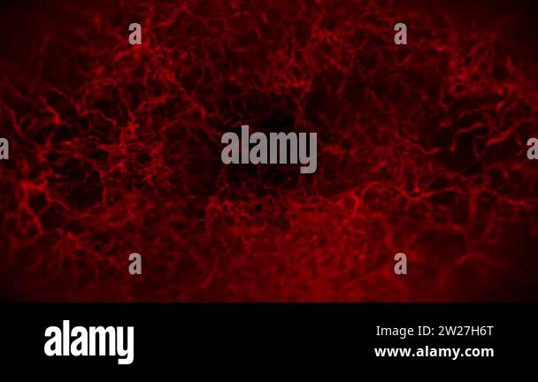 3D loop animation of human blood vessel. Red capillaries. Eye blood on ...