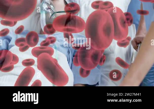 Animation of macro red blood cells spreading and floating with female ...