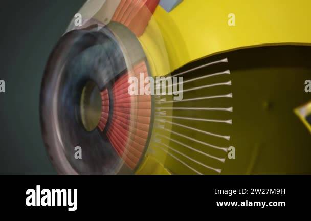 Animated Human eye anatomy Stock Video Footage - Alamy
