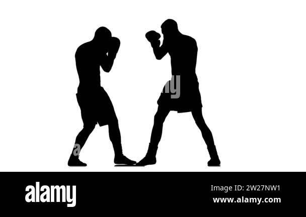 Boxing head to head Stock Videos & Footage - HD and 4K Video Clips - Alamy