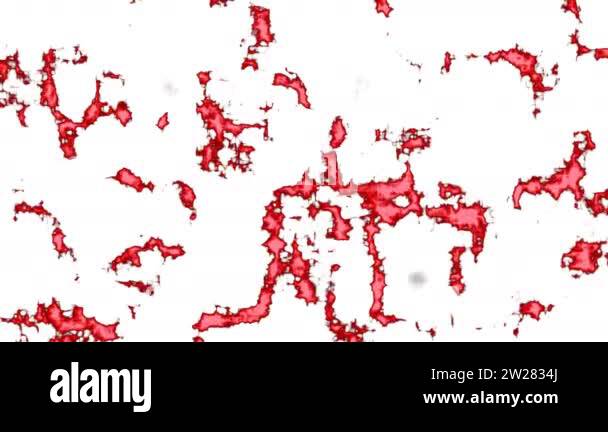 Tissue background Stock Videos & Footage - HD and 4K Video Clips - Alamy