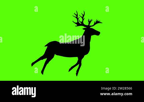 Cartoon silhouette of Reindeer animation on Green screen Chroma key ...