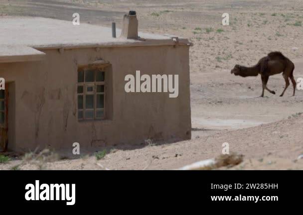 Outdoor tourism heat and clay Stock Videos & Footage - HD and 4K Video ...