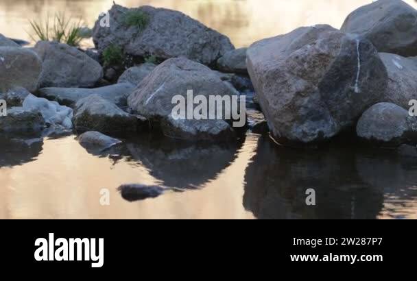 Detail of rocks over water at sunset, water flowing between stones and ...
