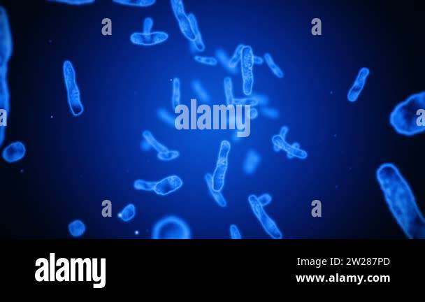 Virus cell in linear shape. Pathogenic viruses causing infection. Loop animation of human virus ...