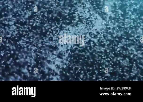 Animation construction of DNA molecules. Human genome code. Rotating ...