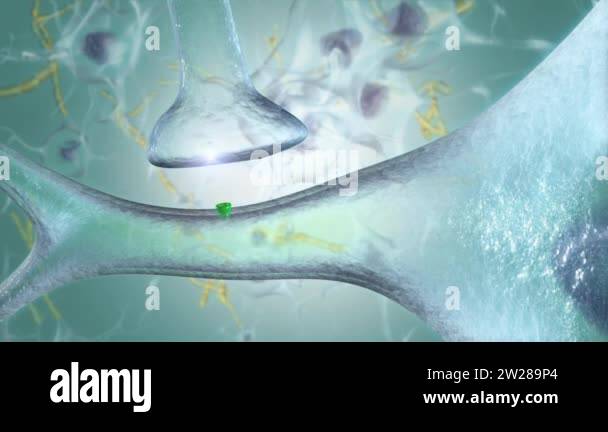 Nerve support cell Stock Videos & Footage - HD and 4K Video Clips - Alamy