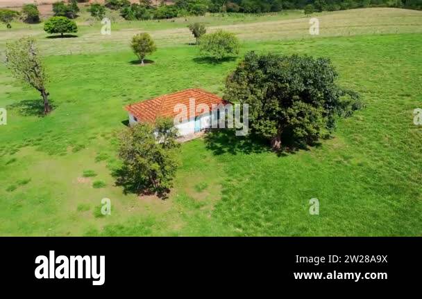 Livestock animals in the pasture. Rural life scene. Countryside view ...