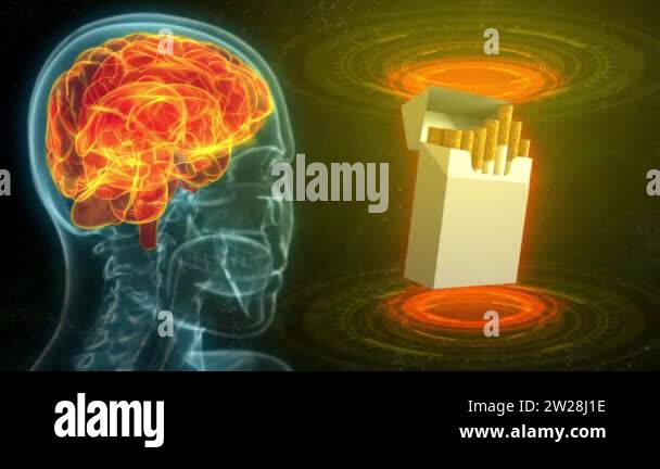 x-ray human head image with highlighted brain and cigarette pack ...